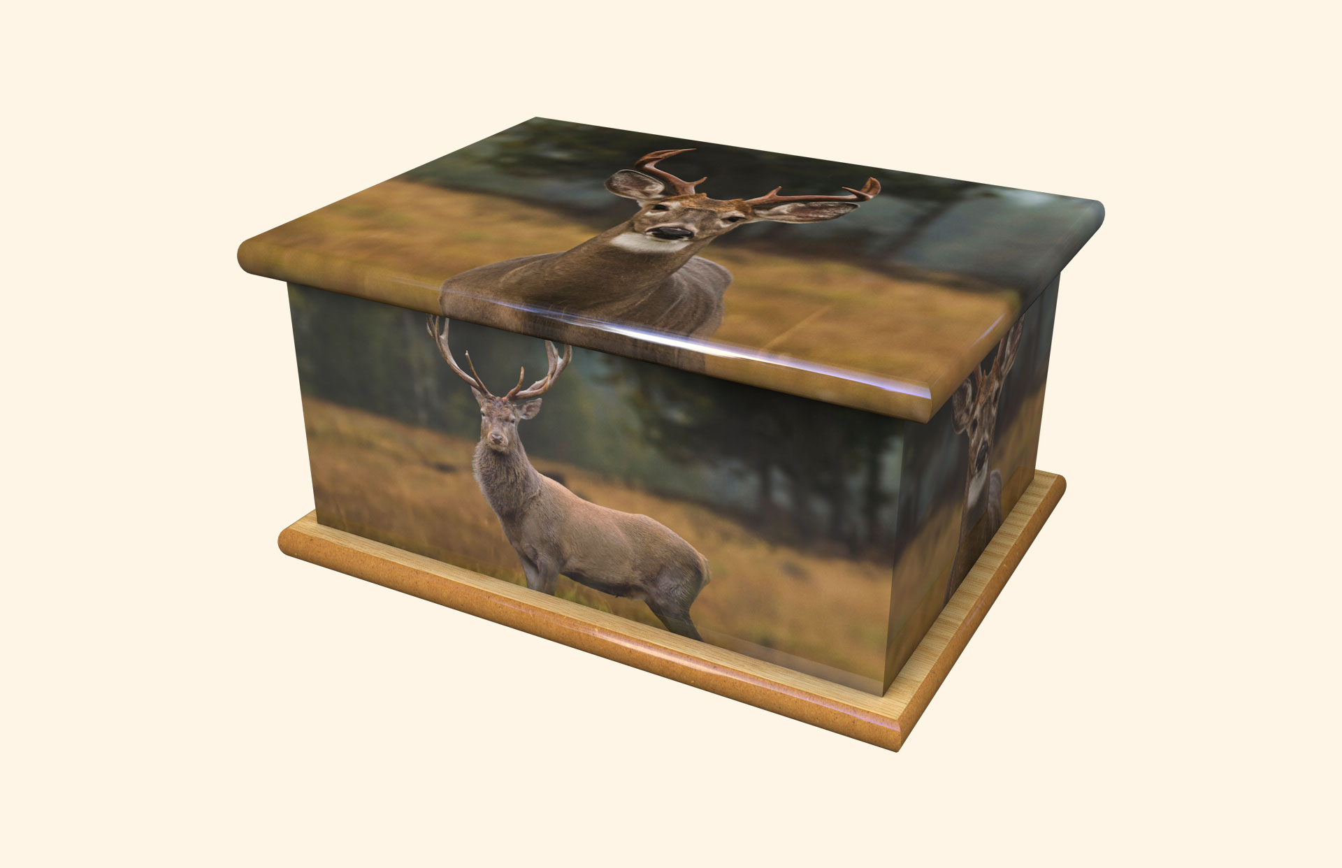 Woodland Stag