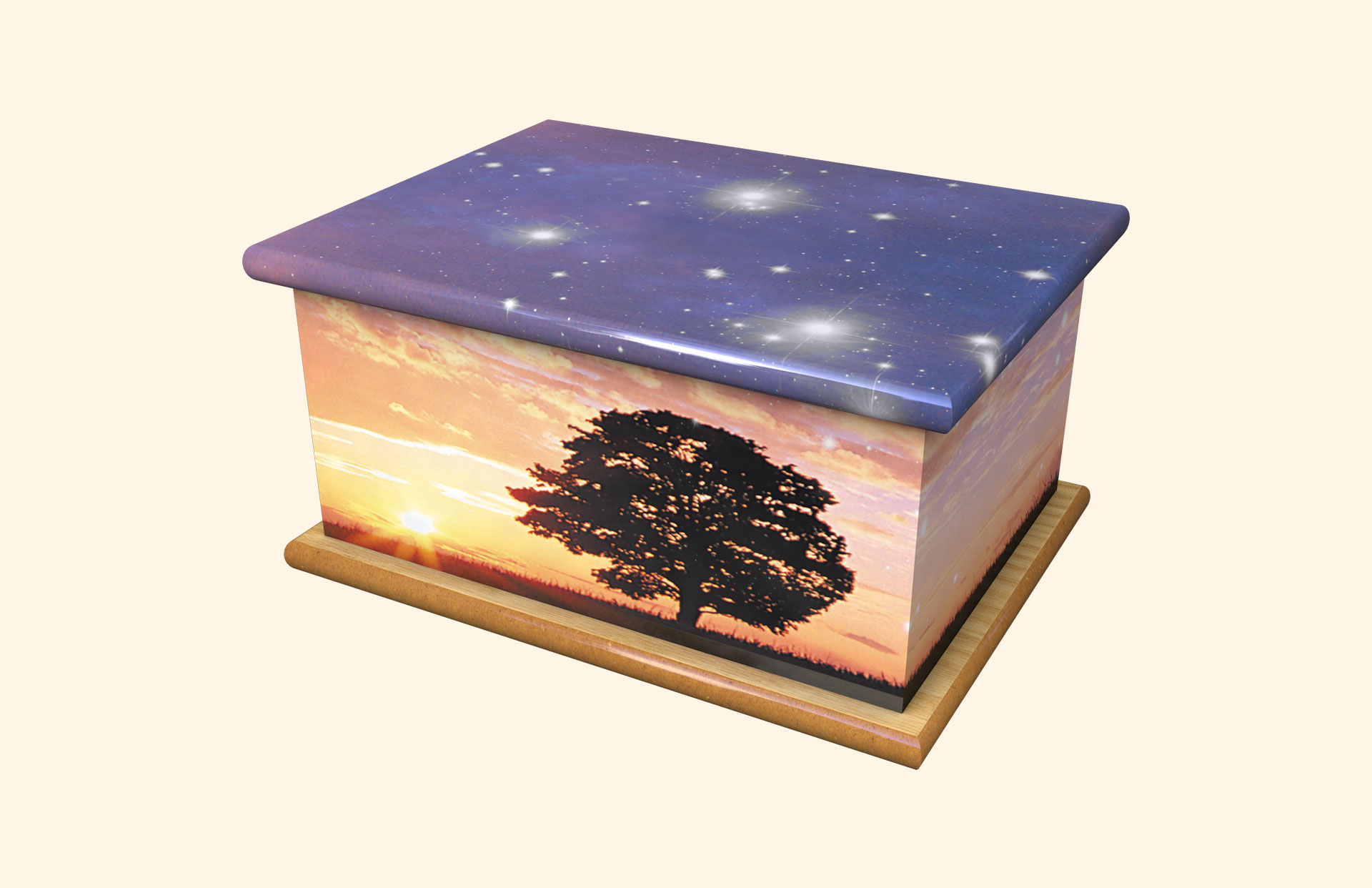 Starry Sunset