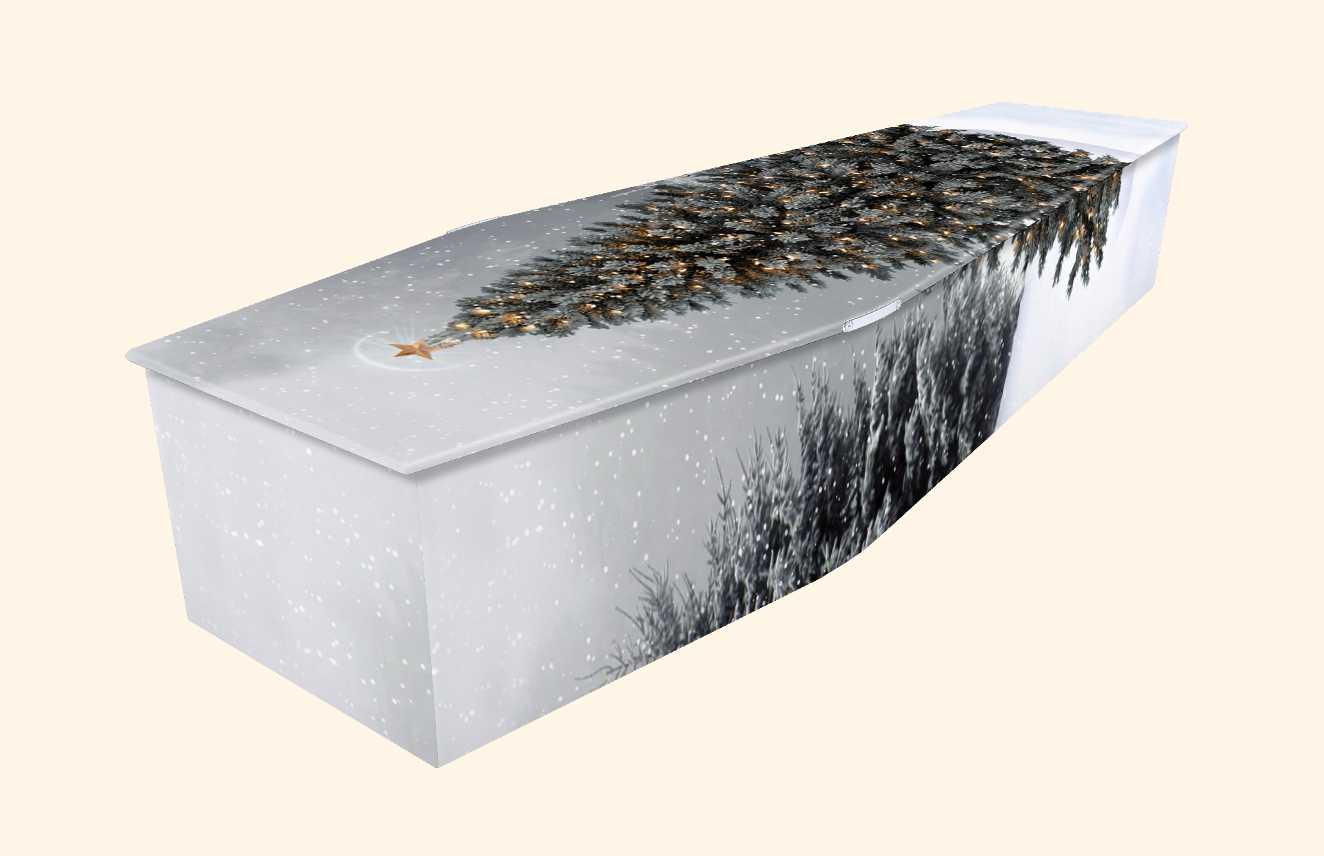 Artistic & Bespoke Picture Coffins | Personal Picture Coffins from ...