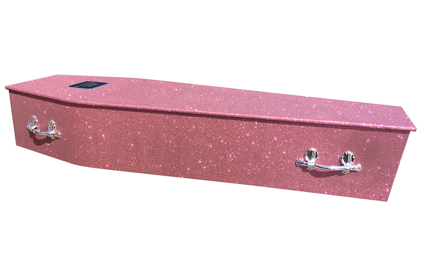 Glitter Designs | Personal Picture Coffins from Colourful Coffins ...