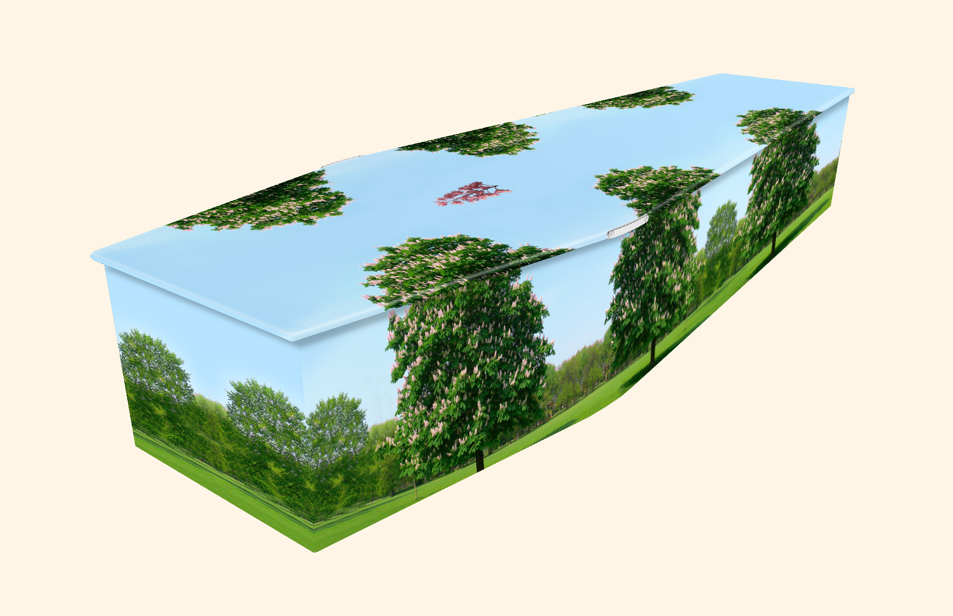 Scenic & Landscape Picture Coffins | Personal Picture Coffins from ...