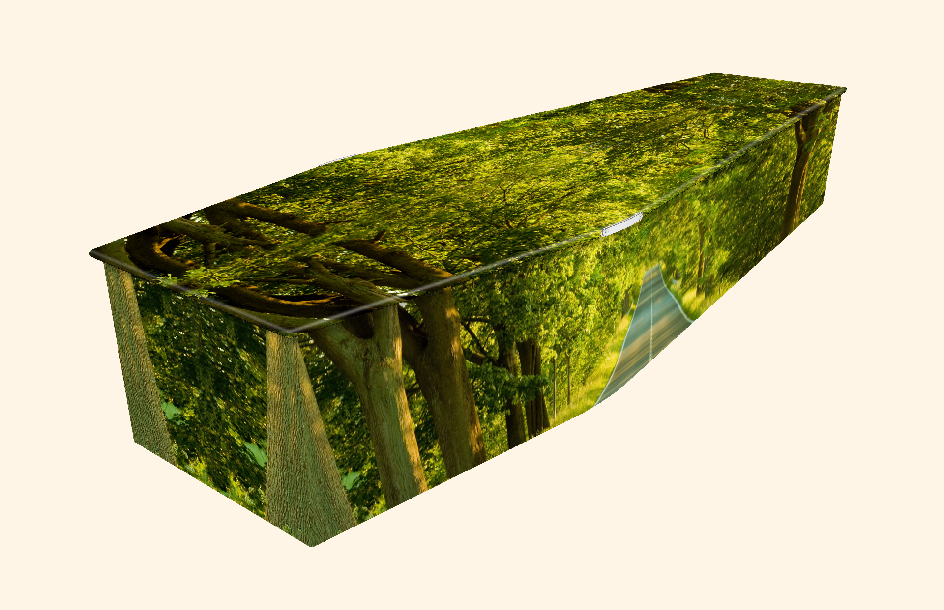 Scenic & Landscape Picture Coffins | Personal Picture Coffins from ...
