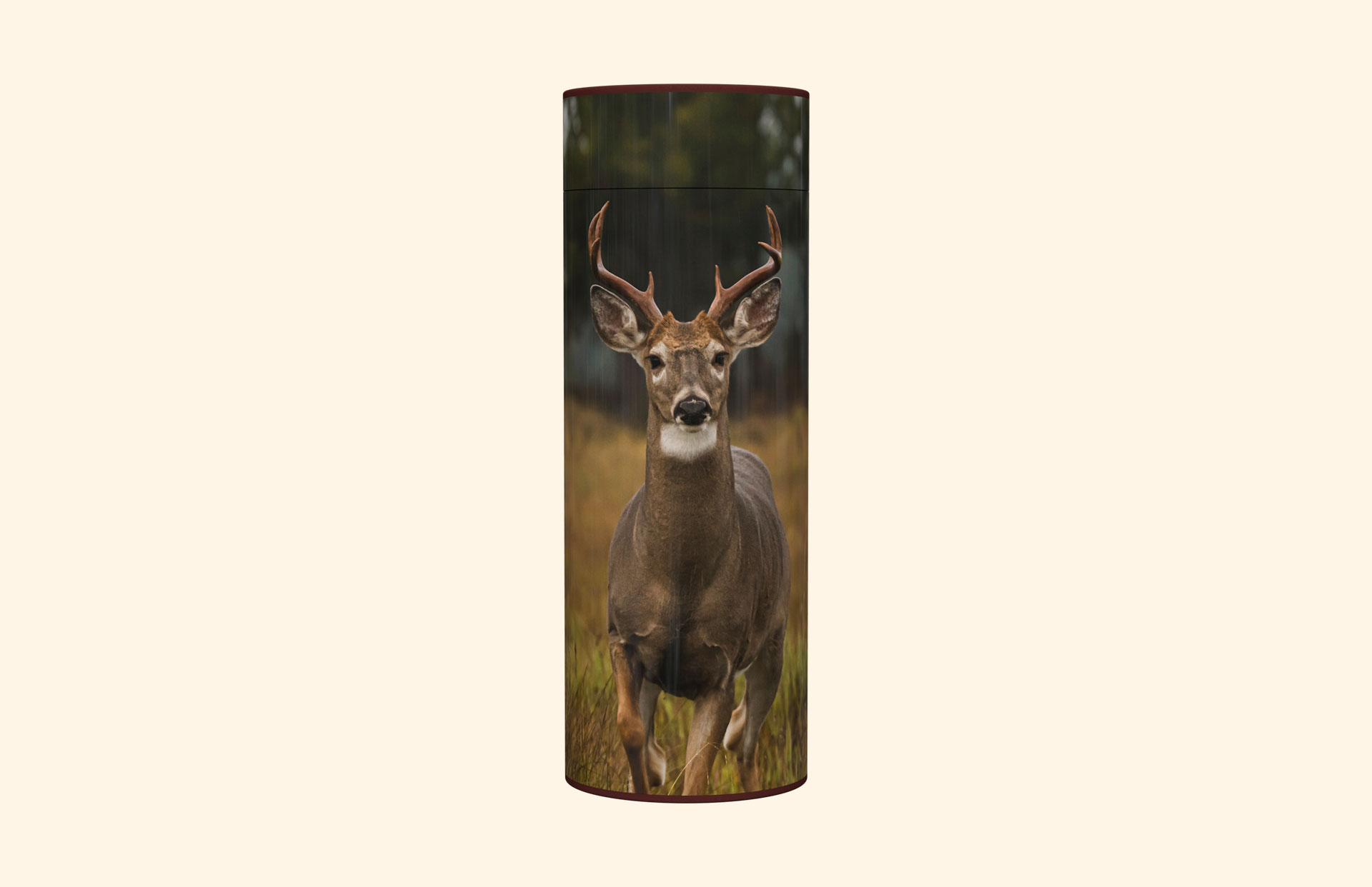 Woodland Stag
